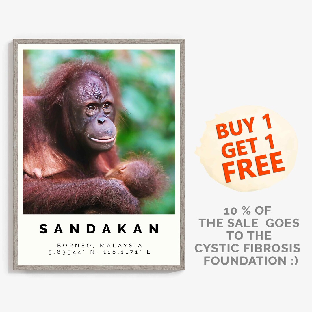 Sandakan Poster Colorful Print Sandakan Wall Art Sandakan - Etsy
