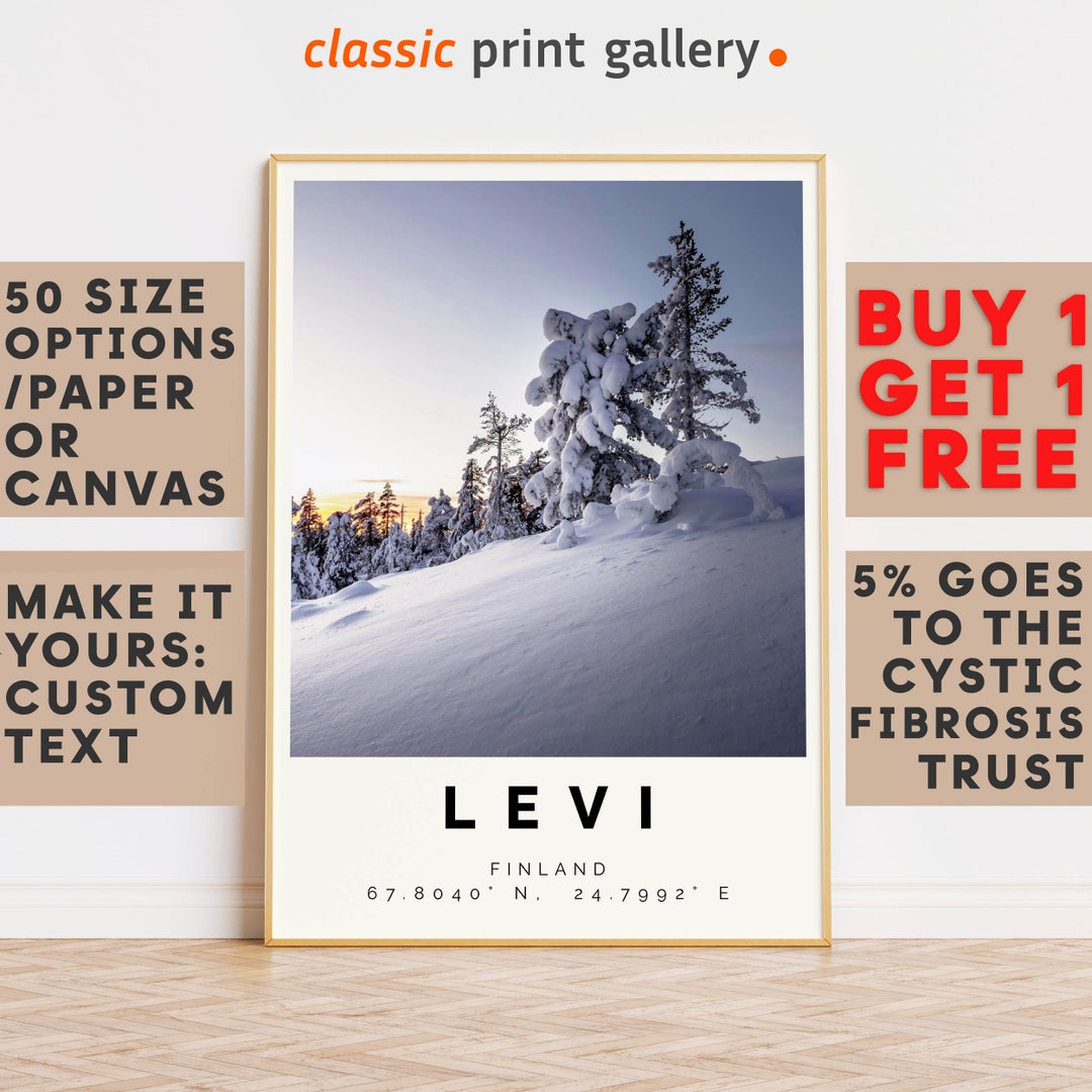 Levi Poster Colorful Print, Levi Wall Art, Levi Photo Decor, Levi Gift ...