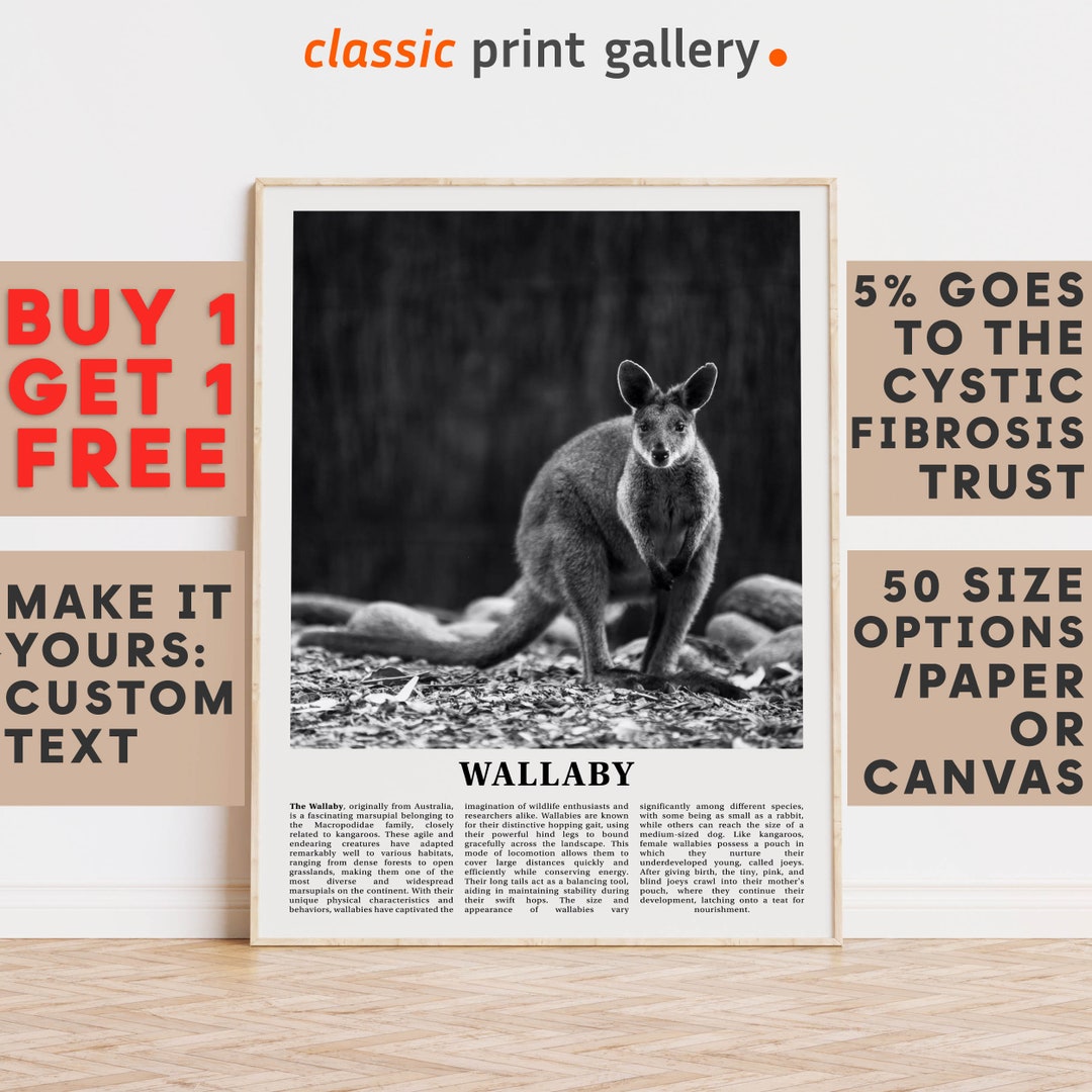 Wallaby Print, Wallaby Wall Art Poster, Black White Classroom Teacher ...