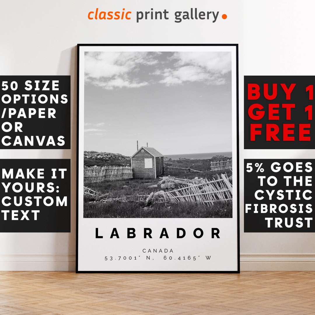 Labrador Poster Black and White Print, Labrador Wall Art, Labrador ...