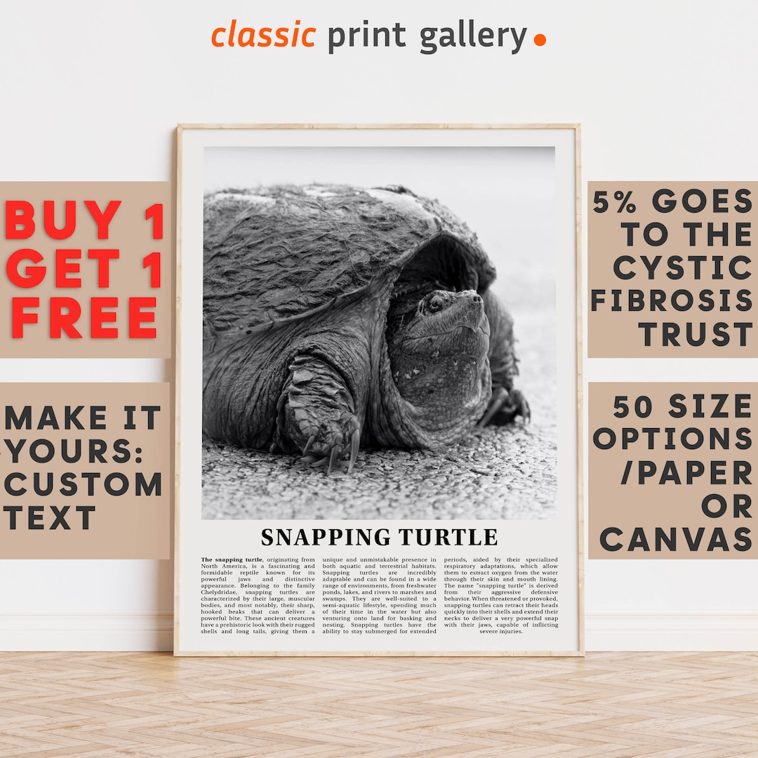 Snapping Turtle Print, Snapping Turtle Wall Art Poster, Black White ...