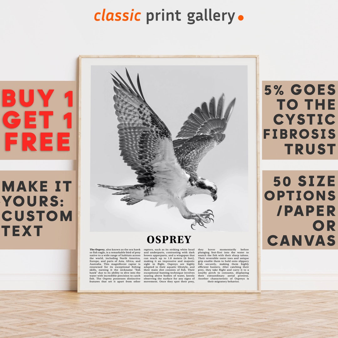 Osprey Print, Osprey Wall Art Poster, Black White Classroom Teacher ...