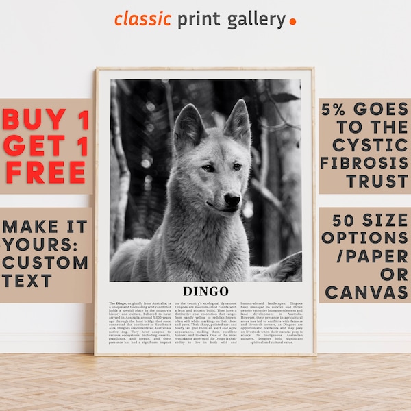 Dingo Wall Art - Etsy