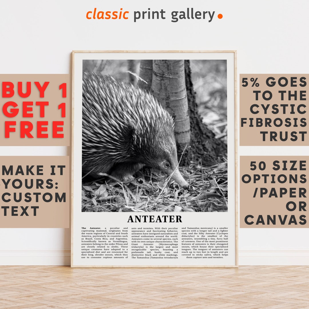 Anteater Print, Anteater Wall Art Poster, Black White Classroom Teacher ...