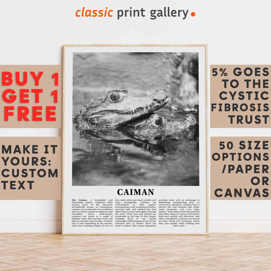 Caiman Print, Caiman Wall Art Poster, Black White Classroom Teacher ...