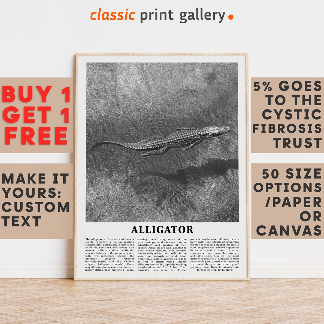Alligator Print, Alligator Wall Art Poster, Black White Classroom ...