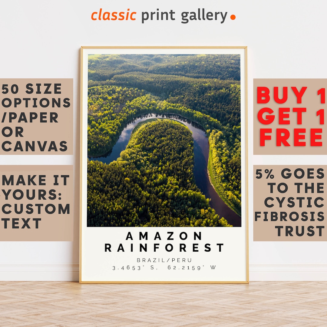 Amazon Rainforest Poster Colorful Print, Amazon Rainforest Wall Art ...