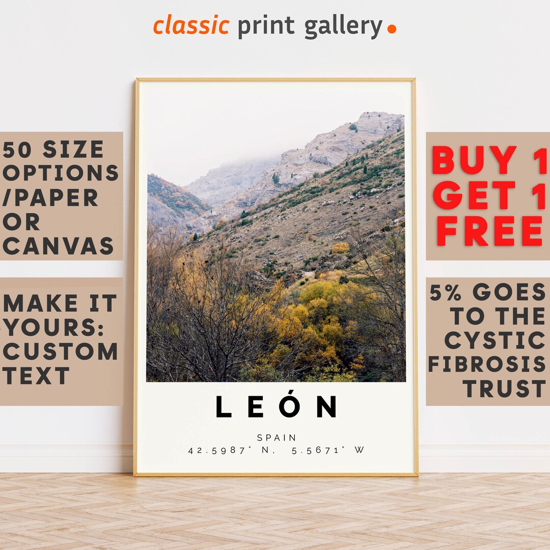 León Poster Colorful Print, León Wall Art, León Photo Decor, León Gift ...