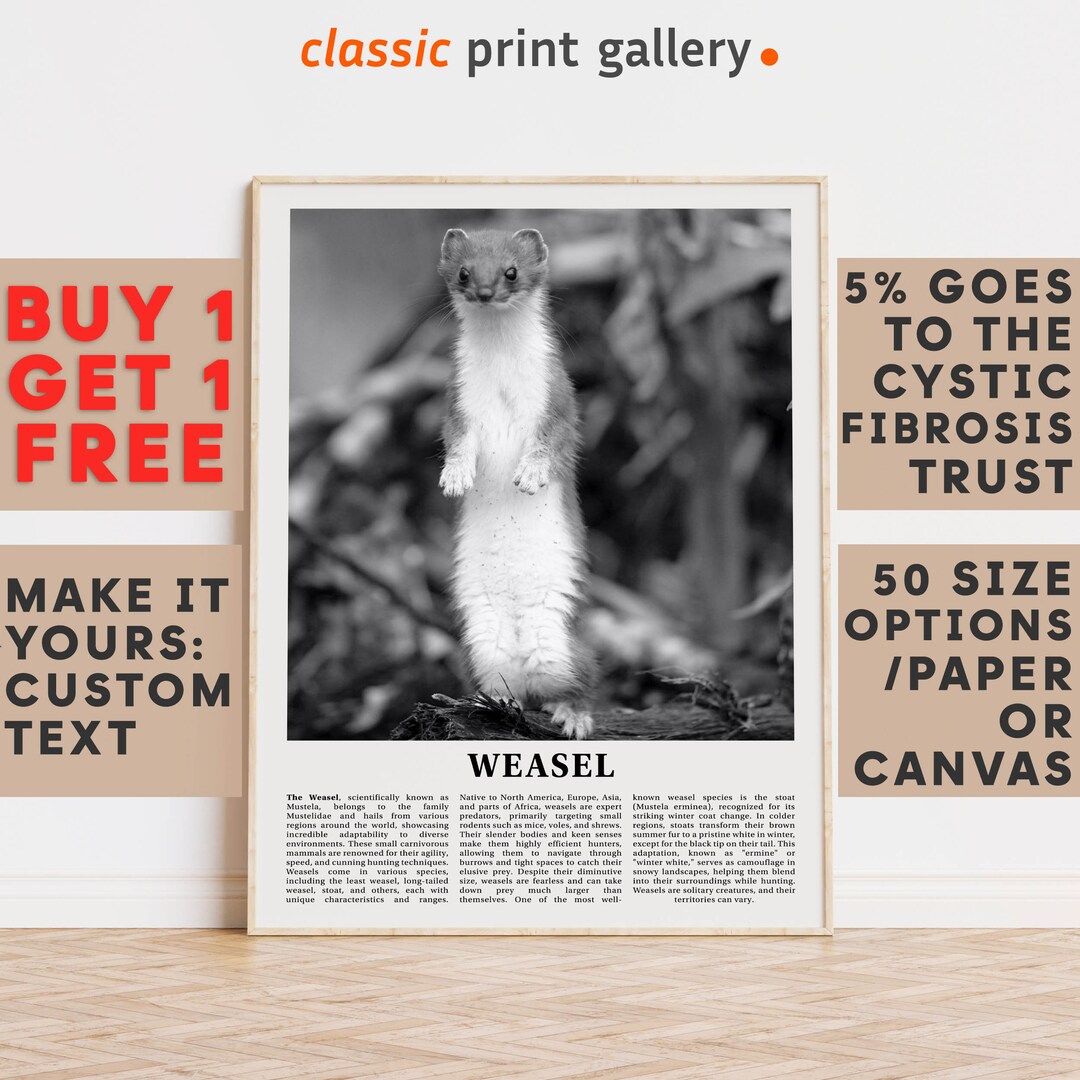 Weasel Print, Weasel Wall Art Poster, Black White Classroom Teacher ...