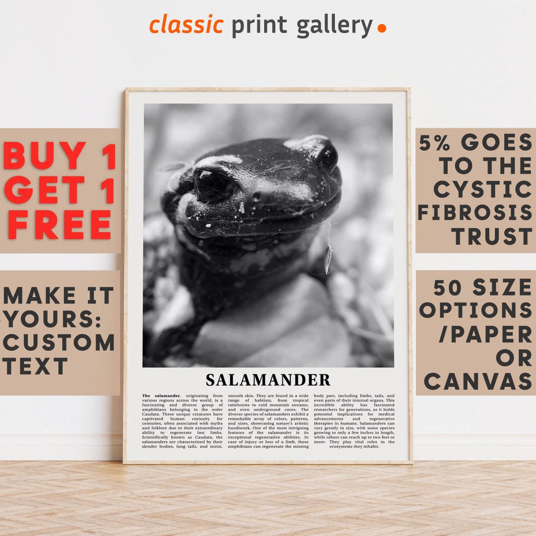 Salamander Print, Salamander Wall Art Poster, Black White Classroom ...
