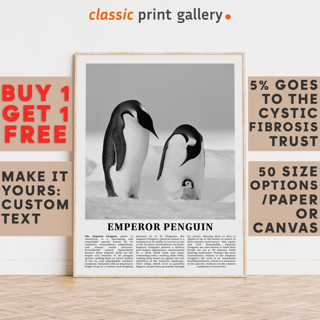 Emperor Penguin Print, Emperor Penguin Wall Art Poster, Black White ...
