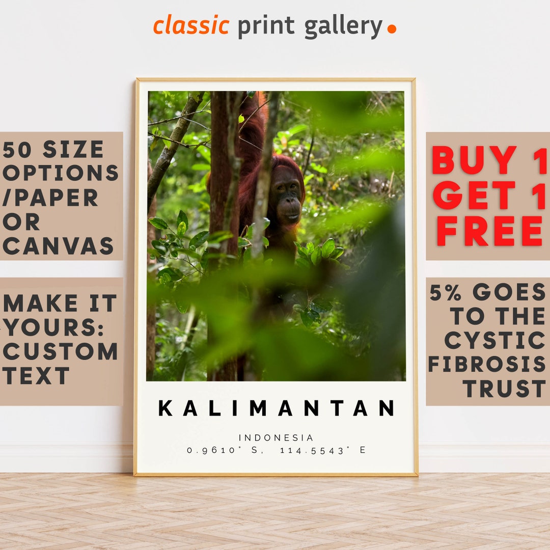 Kalimantan Poster Colorful Print, Kalimantan Wall Art, Kalimantan Photo ...