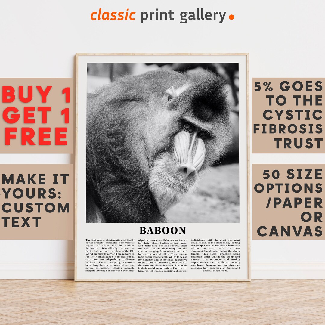 Baboon Print, Baboon Wall Art Poster, Black White Classroom Teacher ...