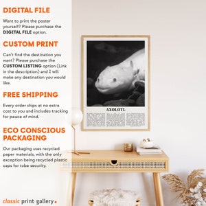 Axolotl Print, Axolotl Wall Art Poster, Black White Classroom Teacher ...