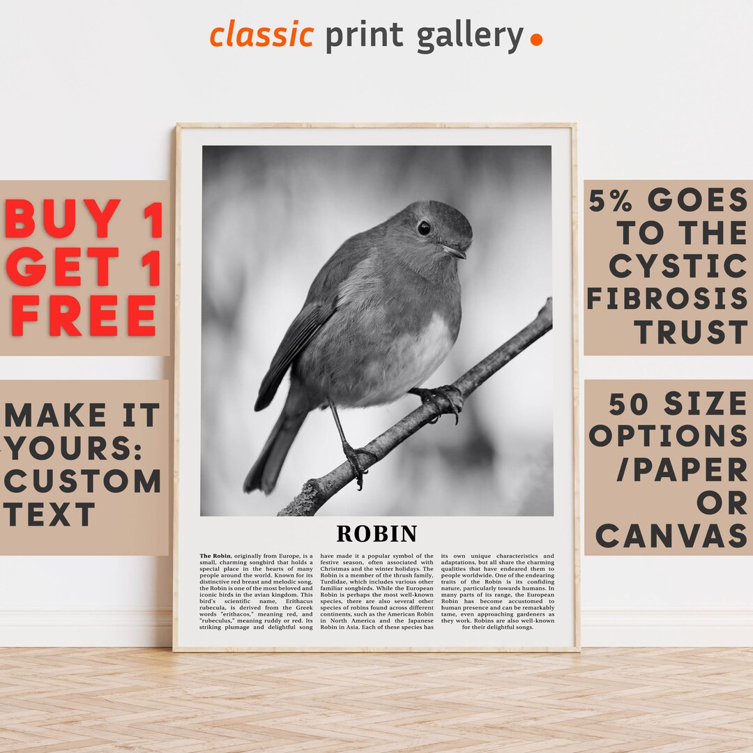 Robin Print, Robin Wall Art Poster, Black White Classroom Teacher Gift ...