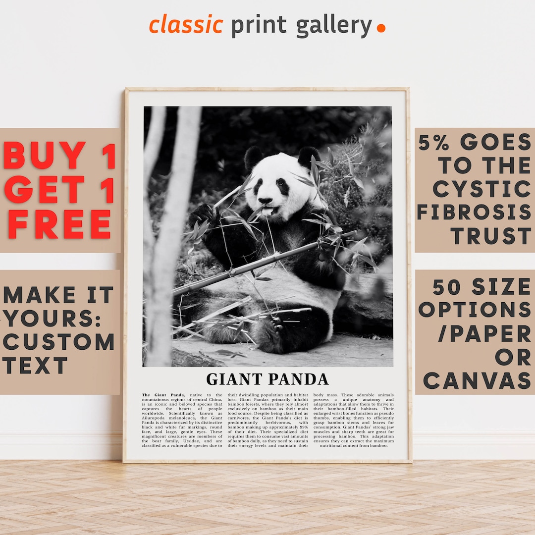 Giant Panda Print, Giant Panda Wall Art Poster, Black White Classroom ...