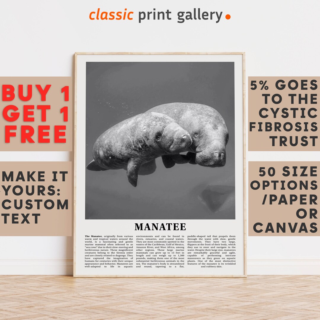 Manatee Print, Manatee Wall Art Poster, Black White Classroom Teacher ...