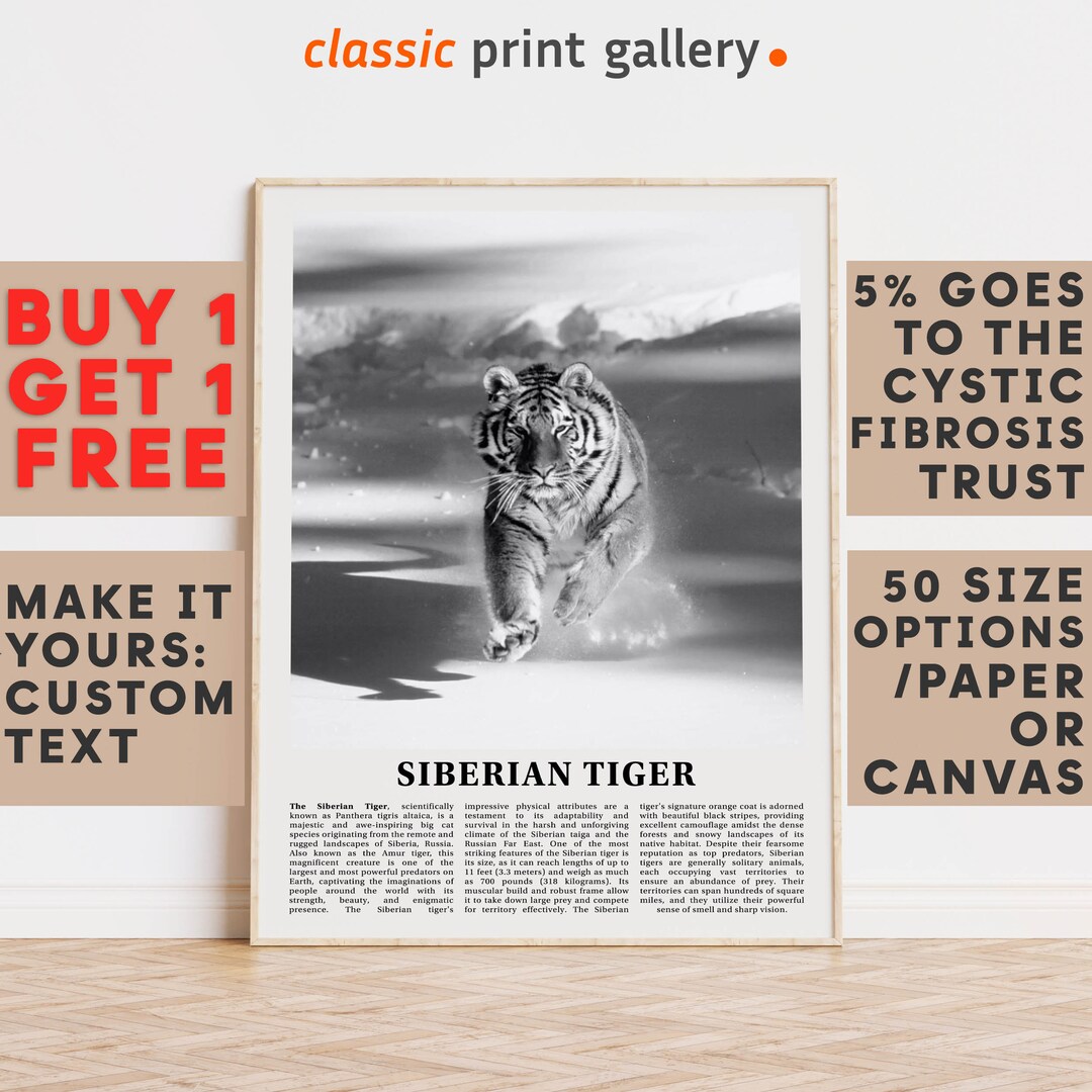 Siberian Tiger Print, Siberian Tiger Wall Art Poster, Black White ...