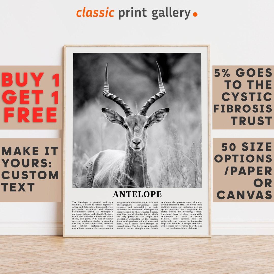 Antelope Print, Antelope Wall Art Poster, Black White Classroom Teacher ...