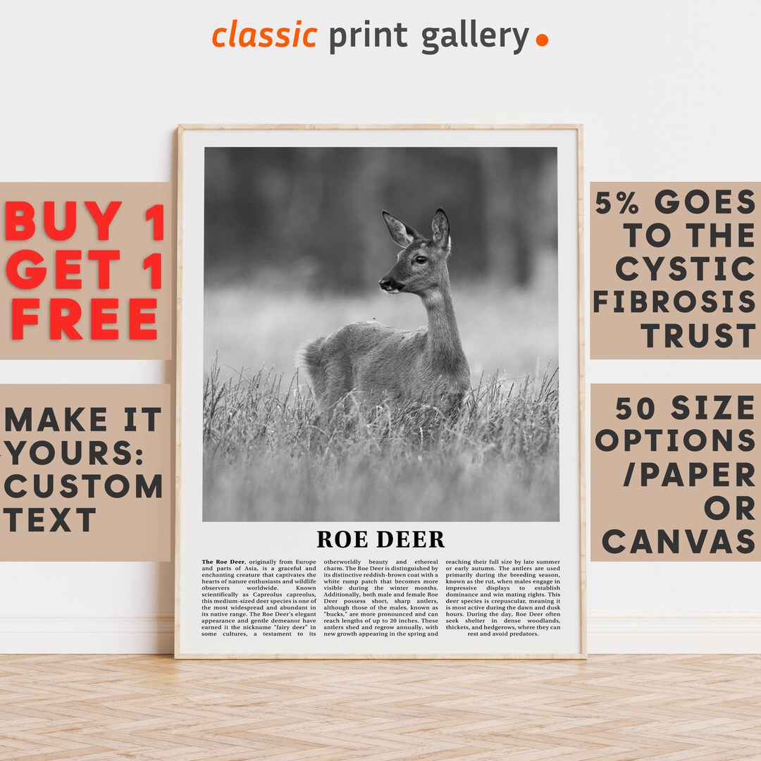 Roe Deer Print, Roe Deer Wall Art Poster, Black White Classroom Teacher ...