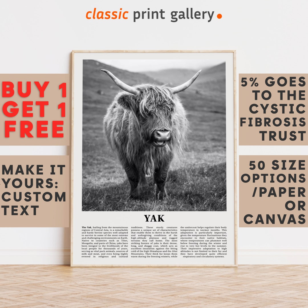 Yak Print, Yak Wall Art Poster, Black White Classroom Teacher Gift ...