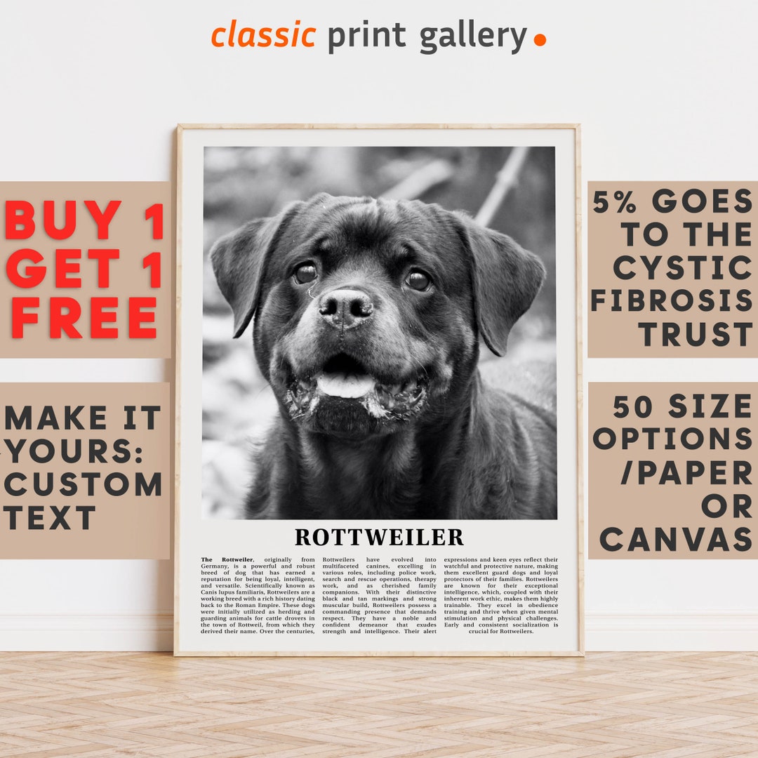 Rottweiler Print, Rottweiler Wall Art Poster, Black White Classroom ...