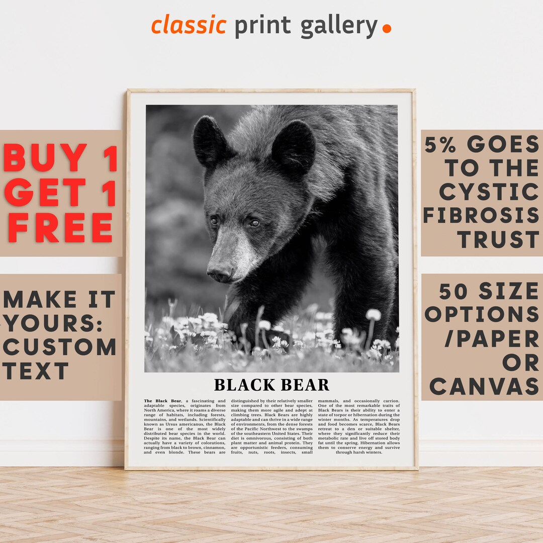 Black Bear Print, Black Bear Wall Art Poster, Black White Classroom ...