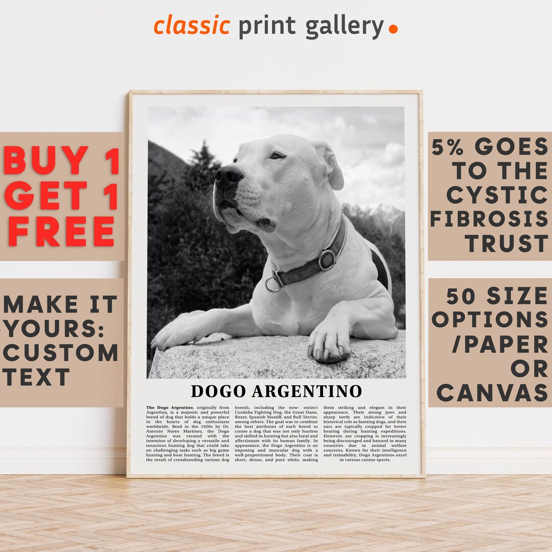 Dogo Argentino Print, Dogo Argentino Wall Art Poster, Black White ...