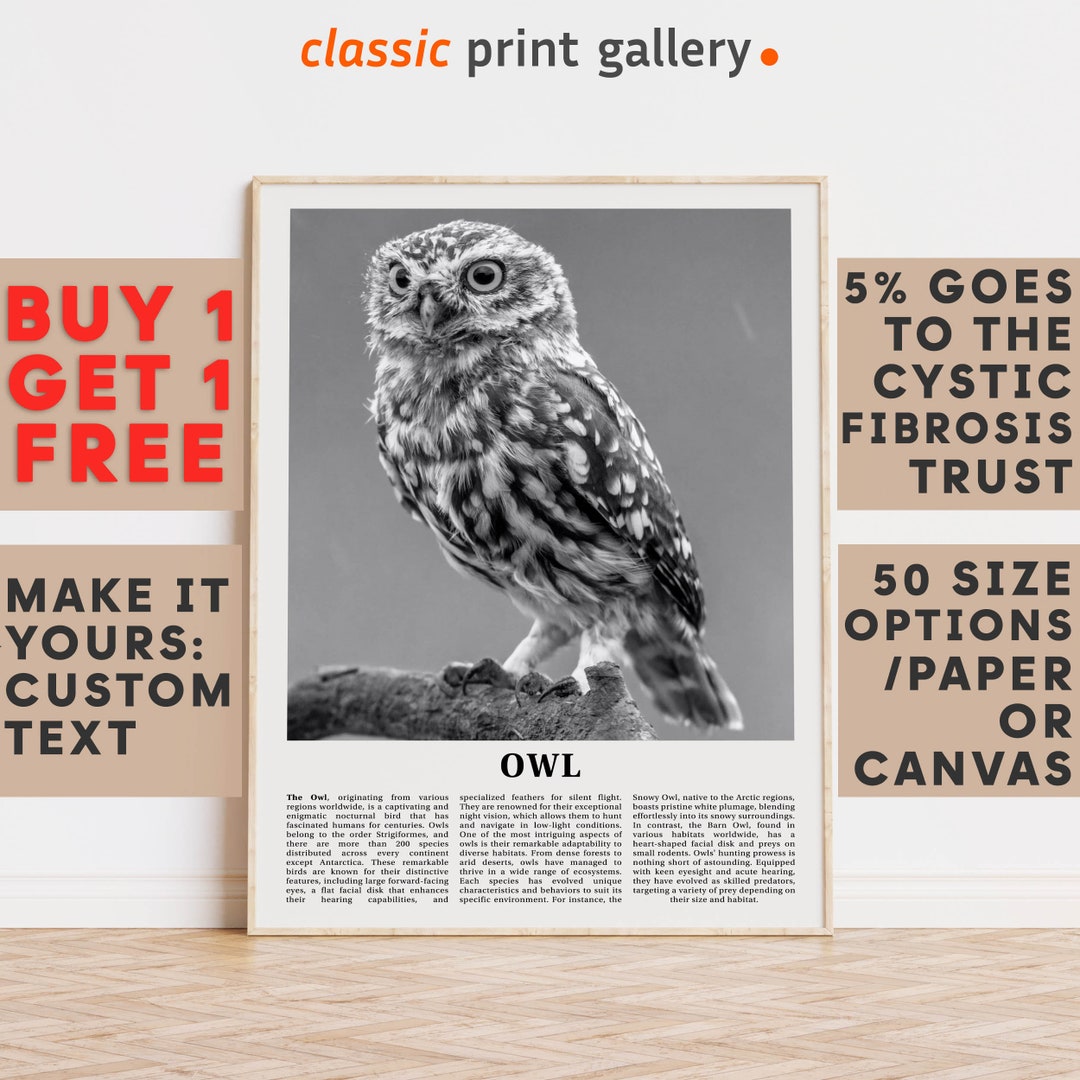 Owl Print, Owl Wall Art Poster, Black White Classroom Teacher Gift ...