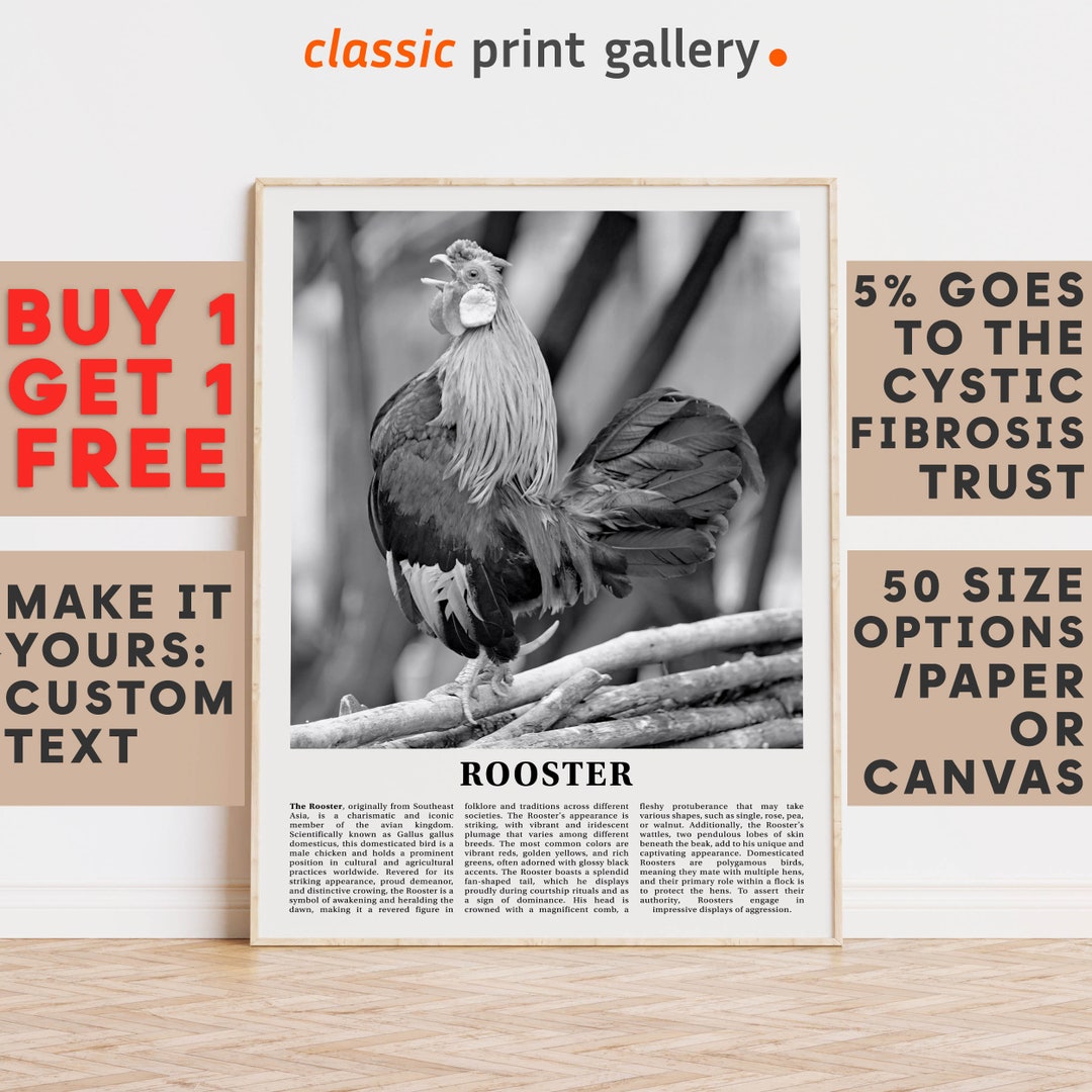 Rooster Print, Rooster Wall Art Poster, Black White Classroom Teacher ...