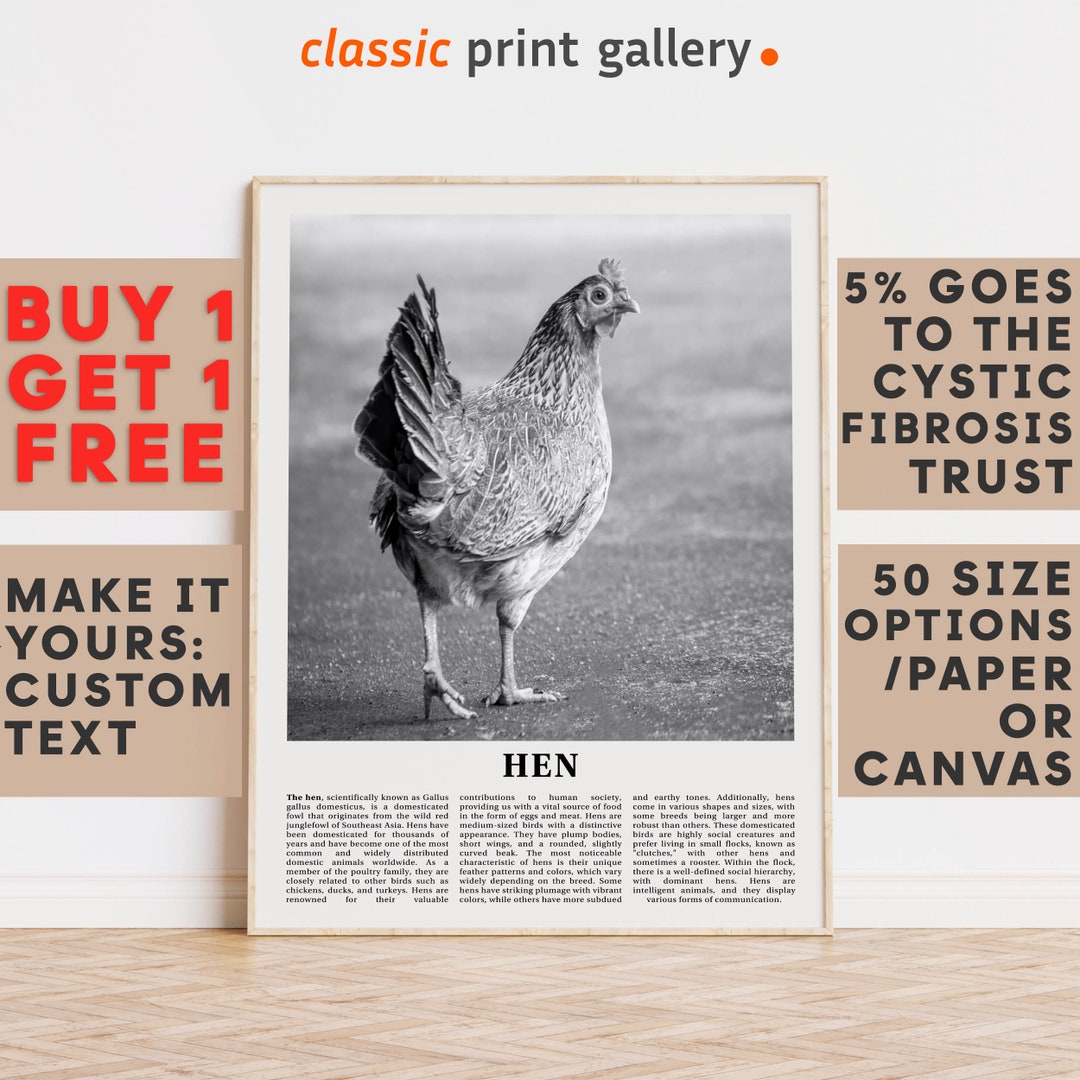 Hen Print, Hen Wall Art Poster, Black White Classroom Teacher Gift ...