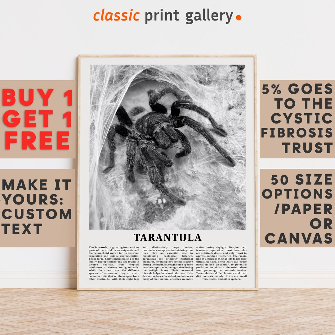 Tarantula Print, Tarantula Wall Art Poster, Black White Classroom ...