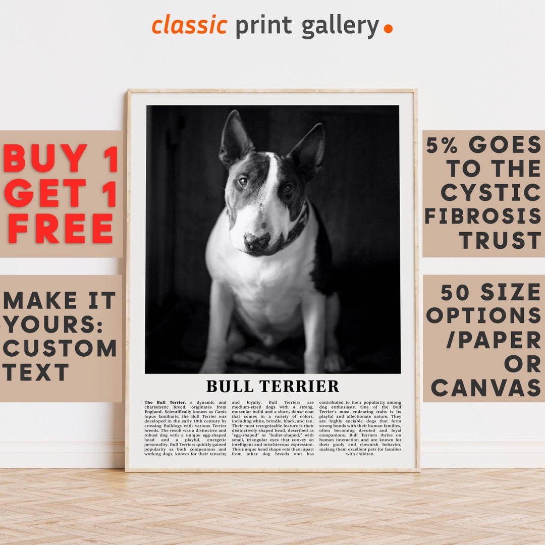 Bull Terrier Print, Bull Terrier Wall Art Poster, Black White Classroom ...