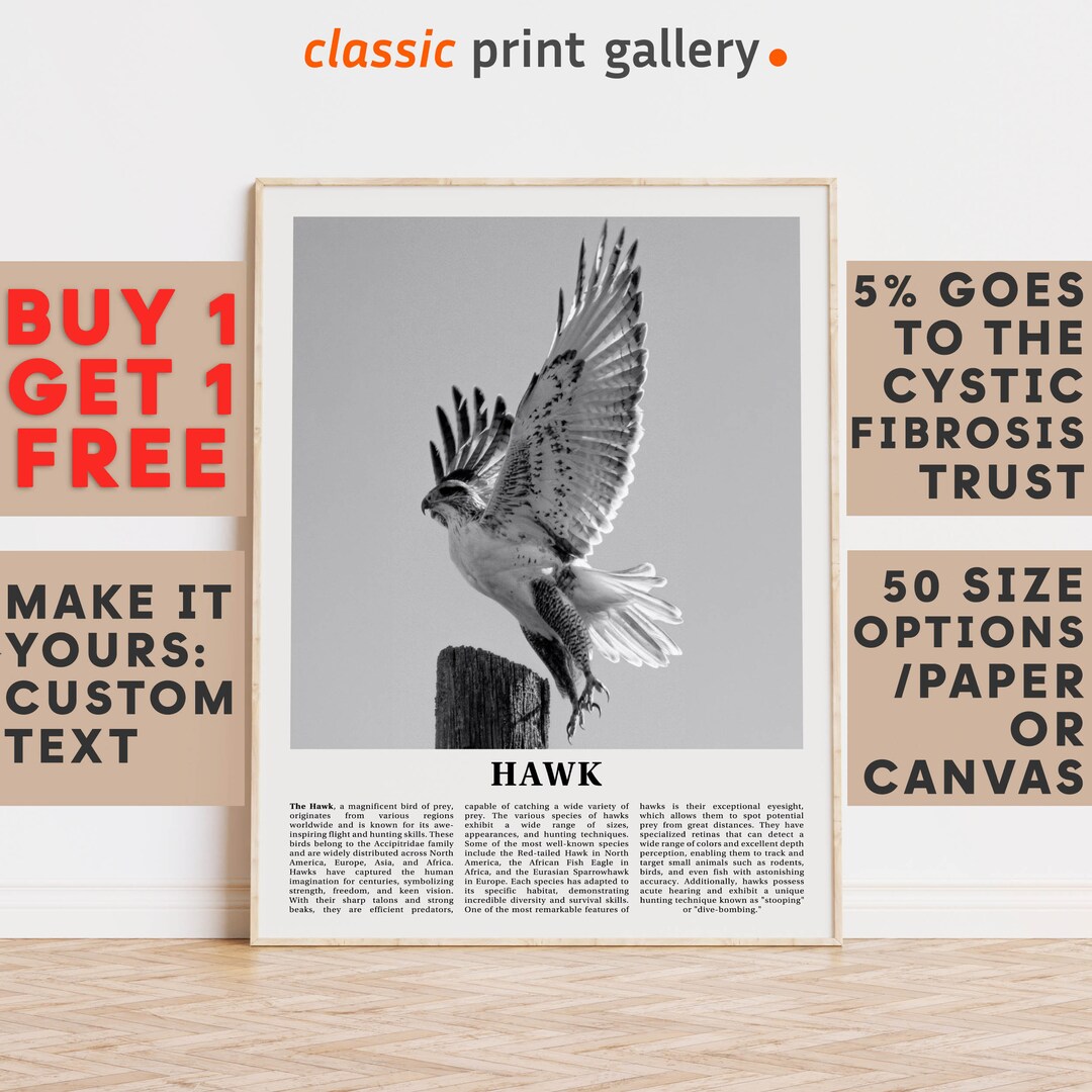 Hawk Print, Hawk Wall Art Poster, Black White Classroom Teacher Gift ...