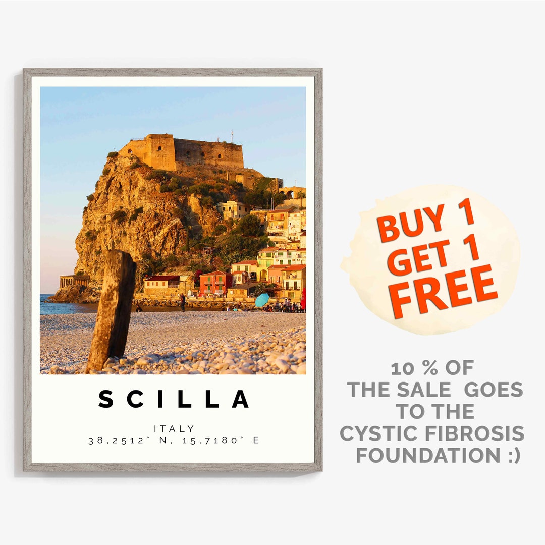 Scilla Poster Colorful Print Scilla Wall Art Scilla Photo - Etsy