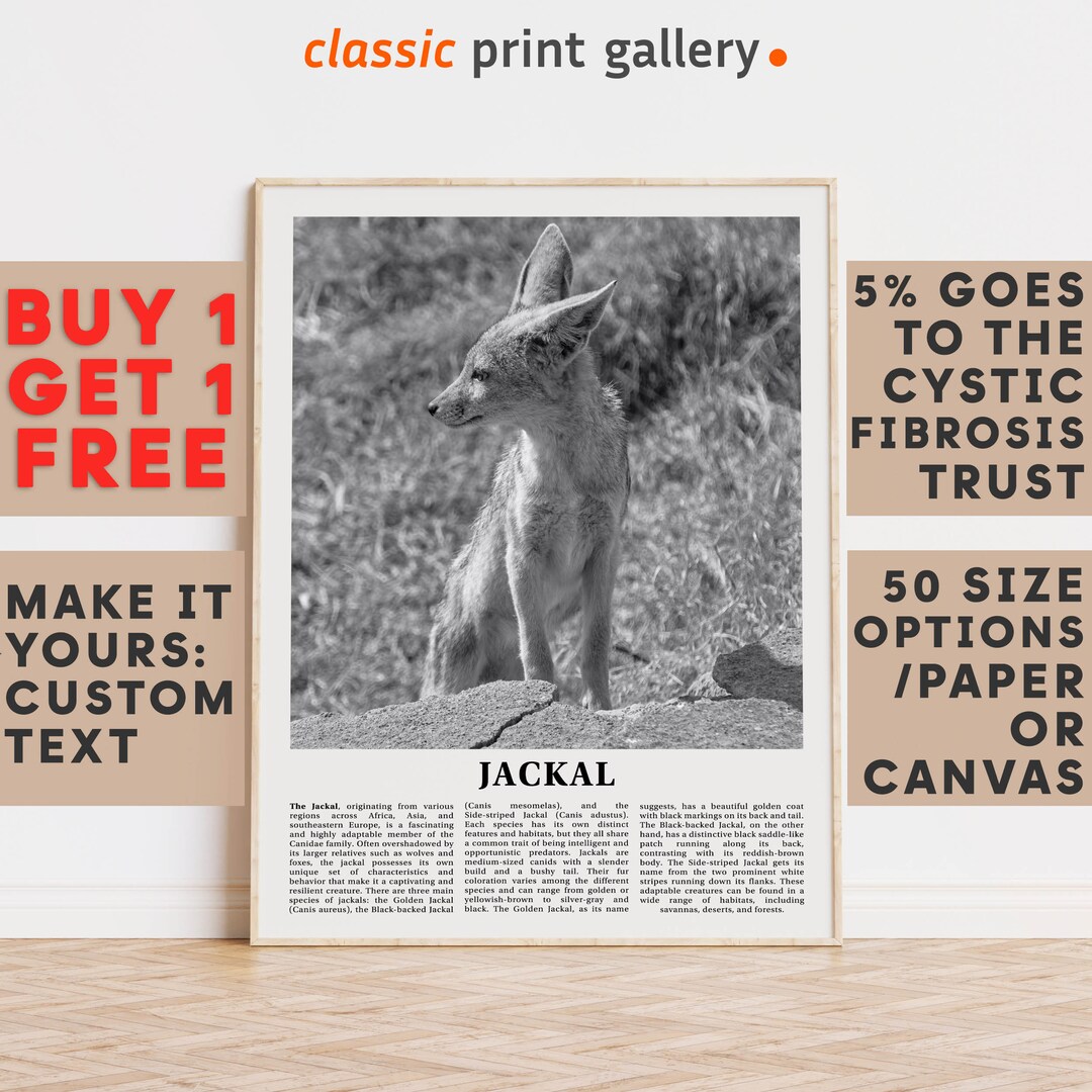 Jackal Print, Jackal Wall Art Poster, Black White Classroom Teacher Gift Present Kids Room ...