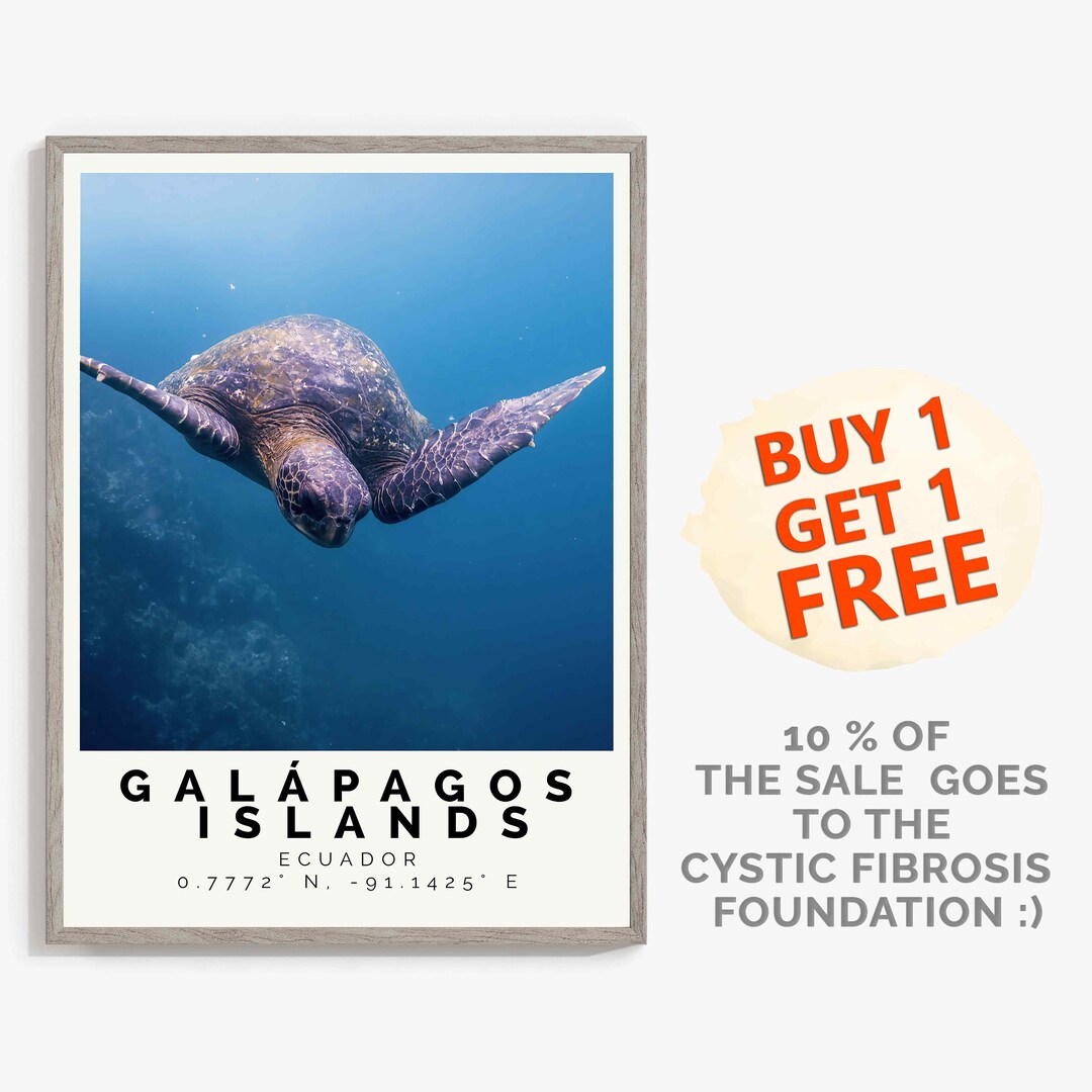 Galápagos Islands Poster Colorful Print Galápagos Islands - Etsy