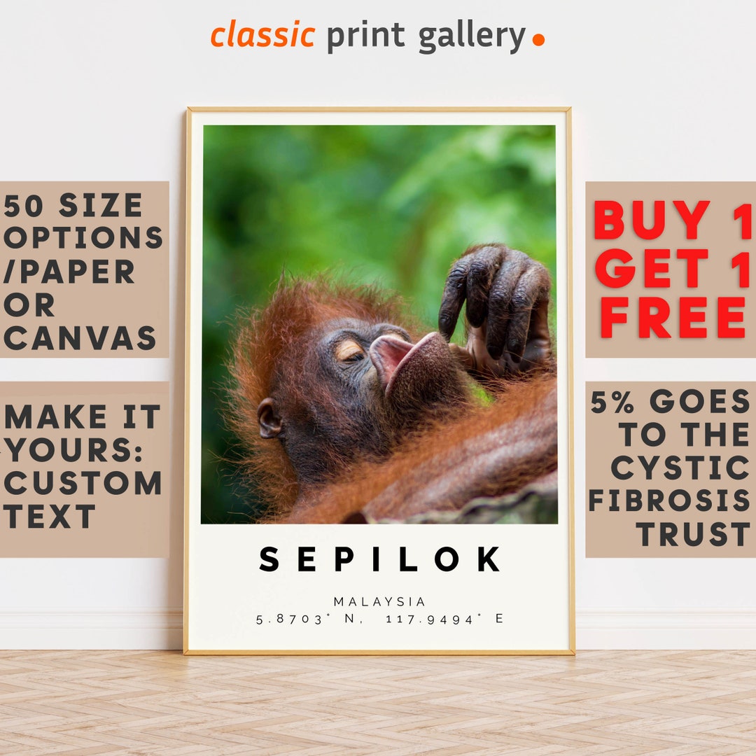 Sepilok Poster Colorful Print, Sepilok Wall Art, Sepilok Photo Decor ...