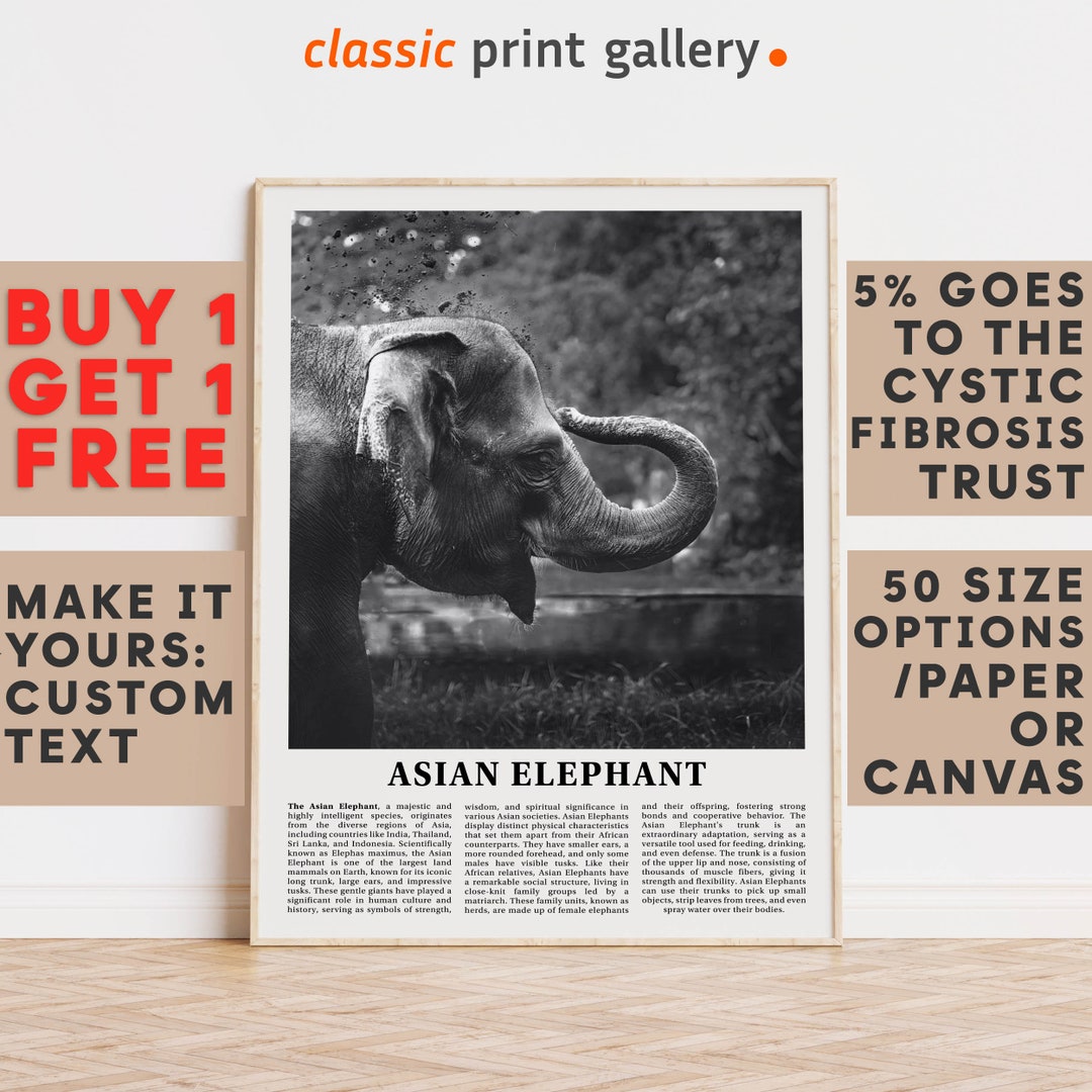 Asian Elephant Print, Asian Elephant Wall Art Poster, Black White ...