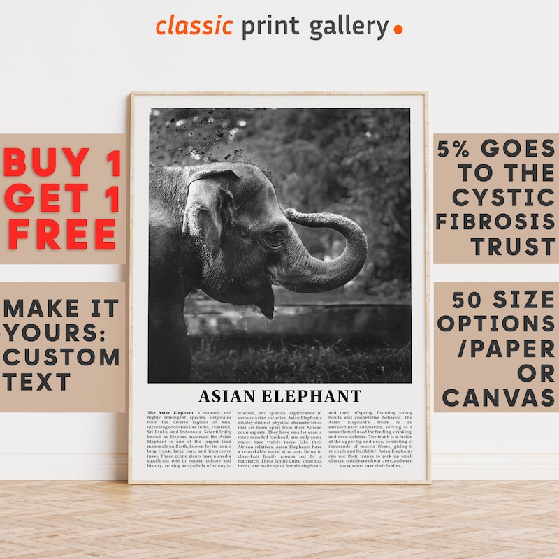 Giant Asian Art Print - Etsy UK