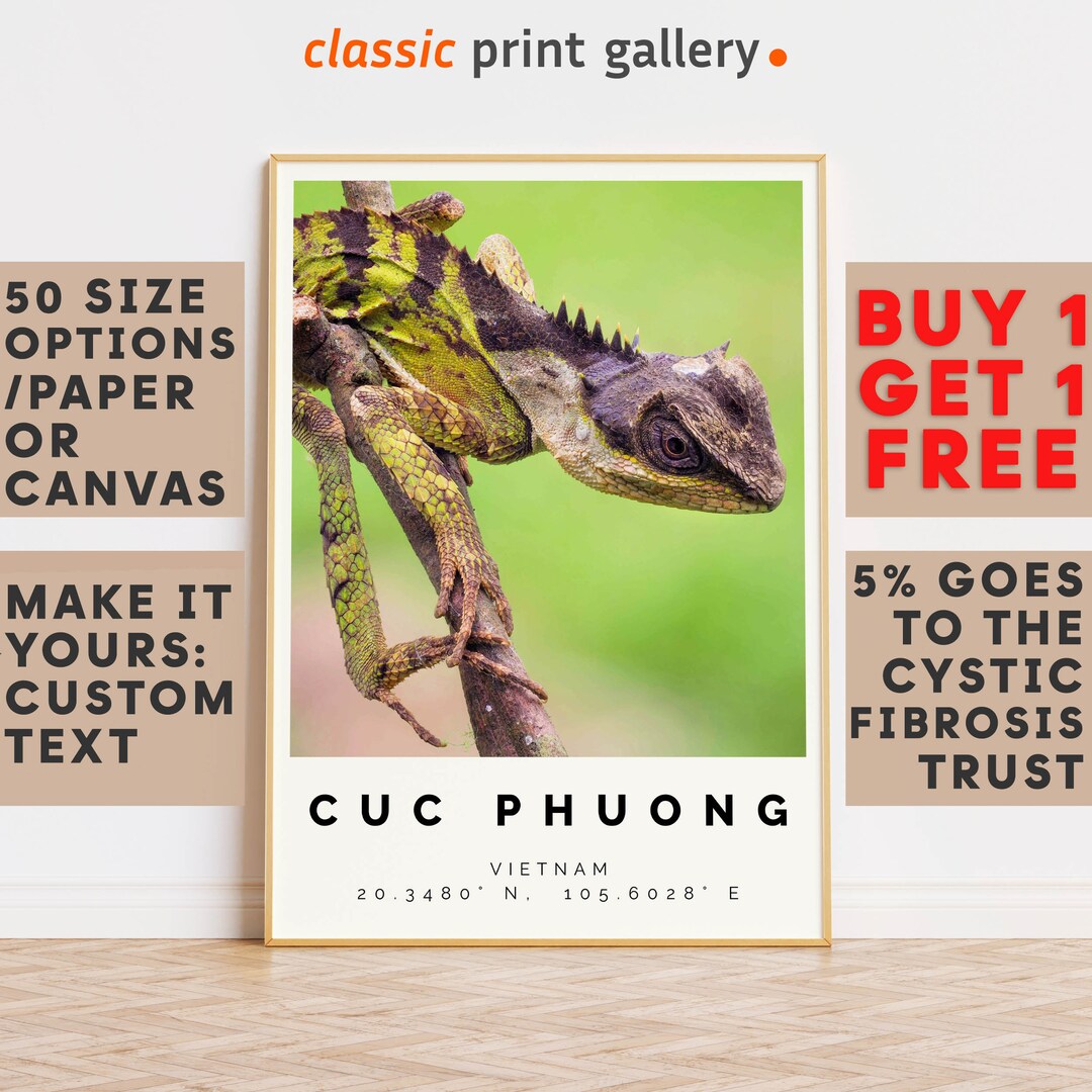 Cuc Phuong Poster Colorful Print, Cuc Phuong Wall Art, Cuc Phuong Photo ...