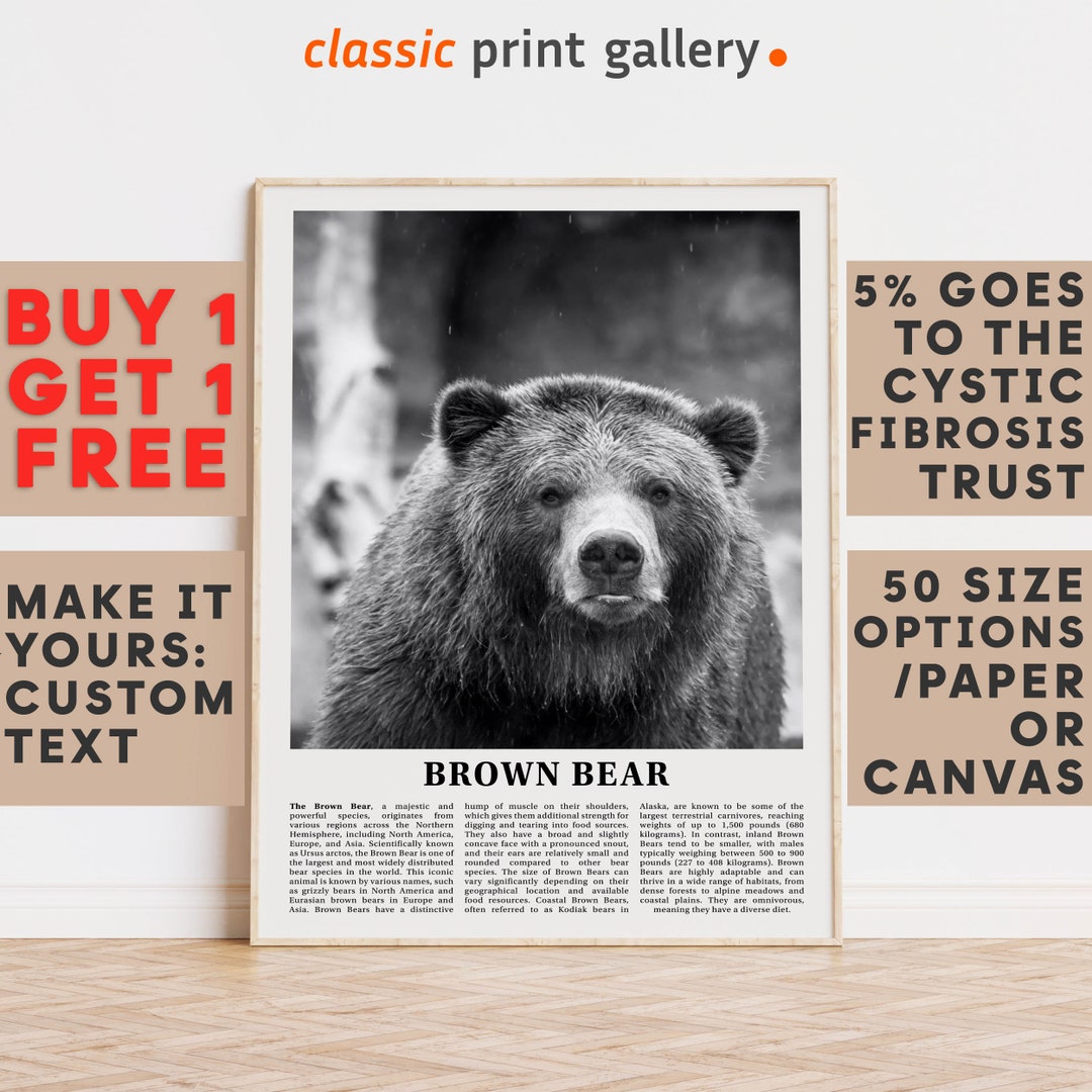 Brown Bear Print, Brown Bear Wall Art Poster, Black White Classroom ...