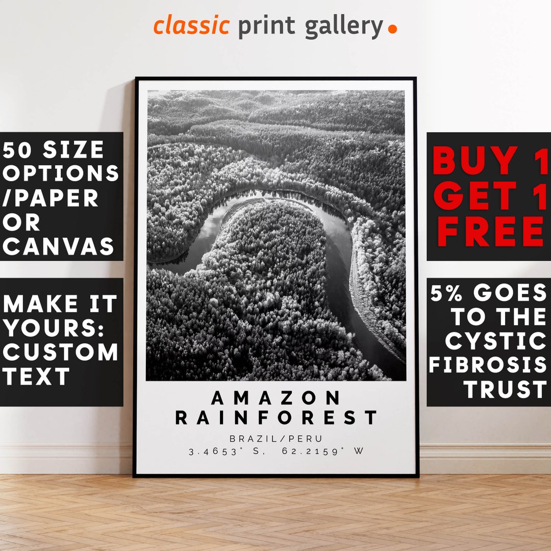 Amazon Rainforest Poster Black and White Print, Amazon Rainforest Wall ...