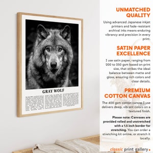 Gray Wolf Print, Gray Wolf Wall Art Poster, Black White Classroom ...