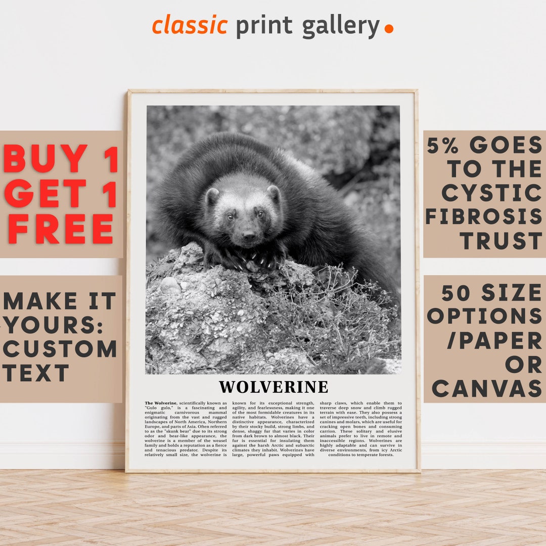 Wolverine Print, Wolverine Wall Art Poster, Black White Classroom ...