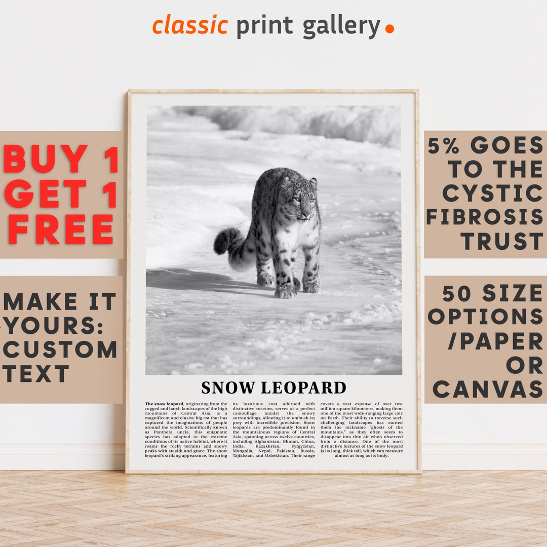 Snow Leopard Print, Snow Leopard Wall Art Poster, Black White Classroom ...
