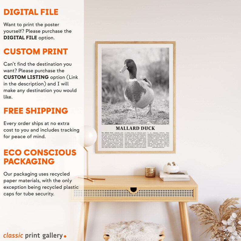Mallard Duck Print, Mallard Duck Wall Art Poster, Black White Classroom ...
