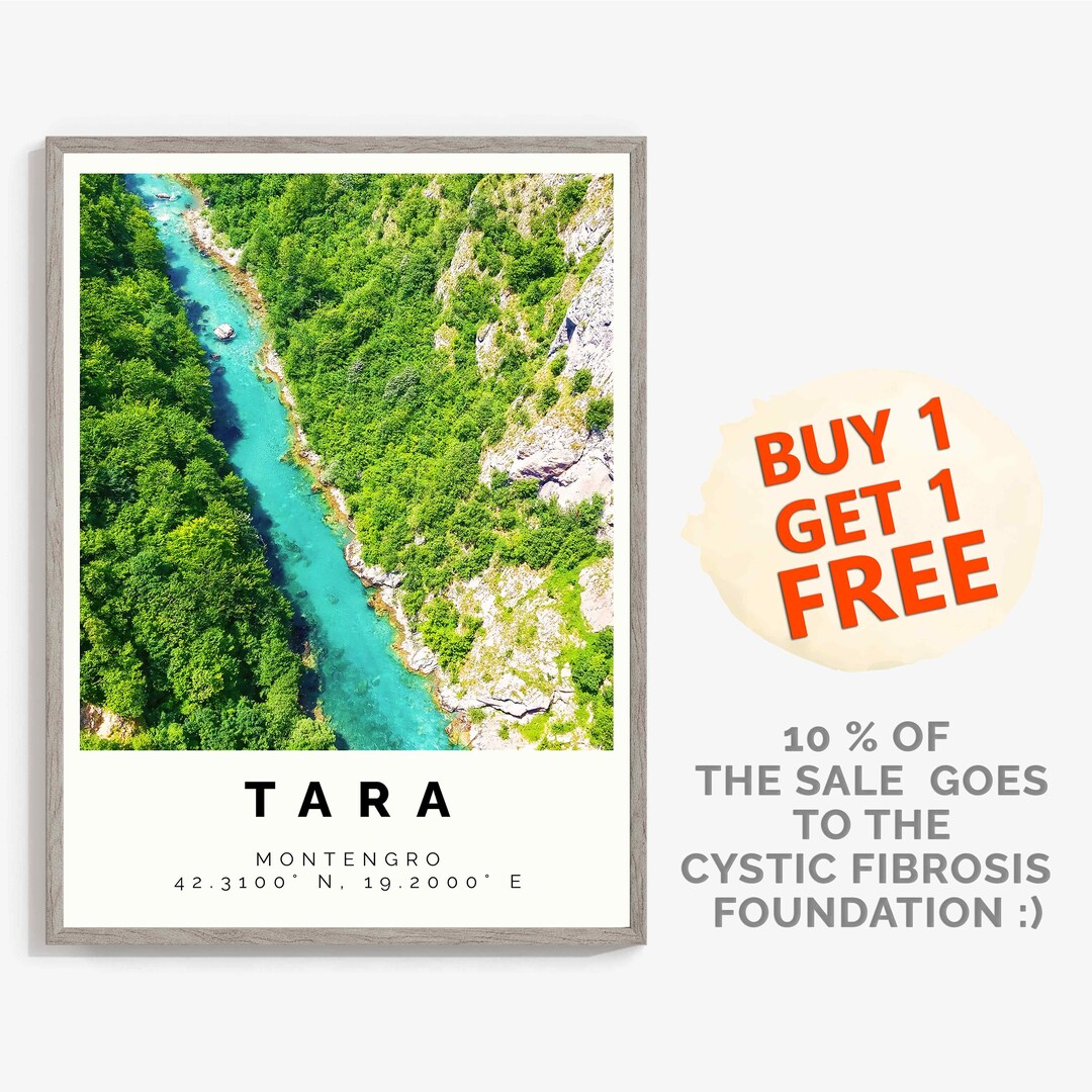 Tara Poster Colorful Print Tara Wall Art Tara Photo Decor - Etsy