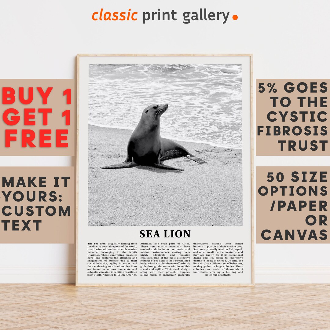 Sea Lion Print, Sea Lion Wall Art Poster, Black White Classroom Teacher ...