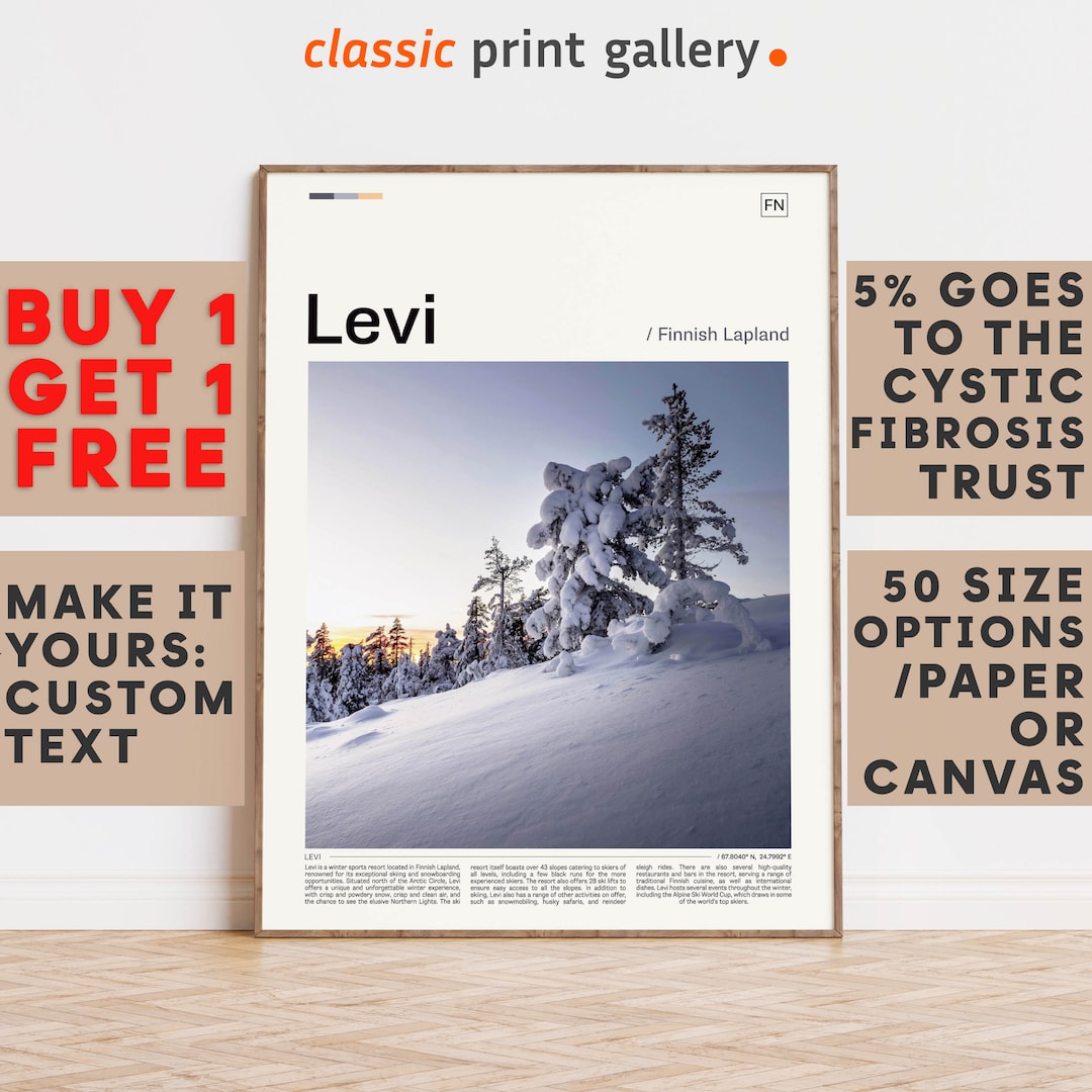 Levi Print, Levi Wall Art, Levi Color Poster With Text, Personalized ...